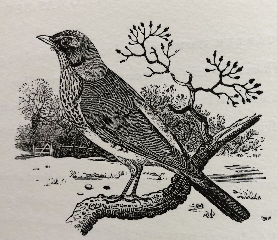 2020 Vision compiled by Nigel Hamway – NOMAD LETTERPRESS | Fine Press ...