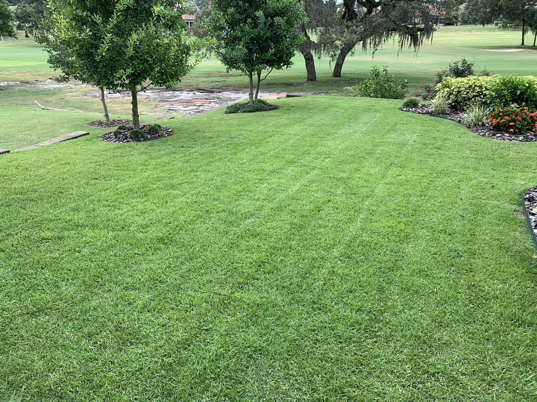 BC25 D4 E4 7639 482 C 81 ED D6 C3 D89 C323 C — Postimages