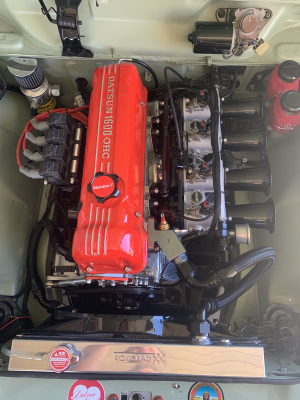 49039492646 77cf94c06a 4k — Postimages