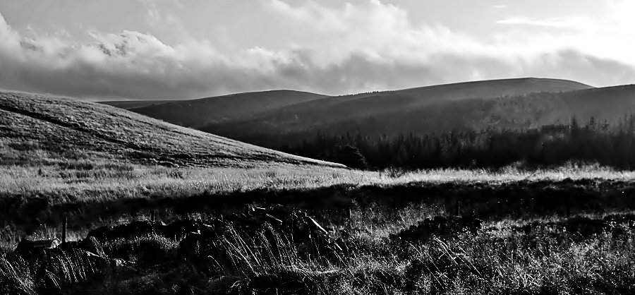 PP Challenge #343 - PentaxForums.com