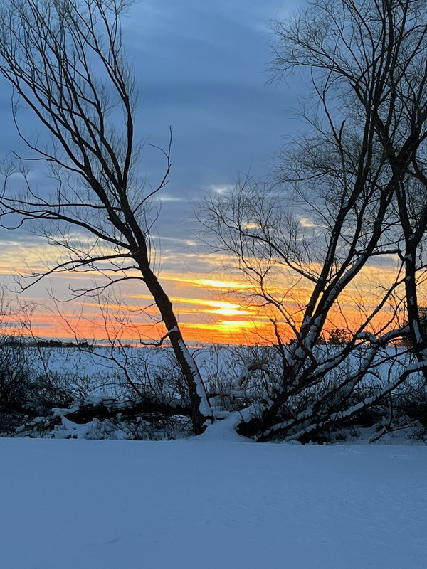 IMG 7941 — Postimages