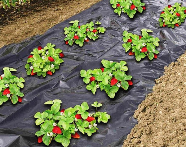 "Growtex Net" - контакти, товари, послуги, ціни