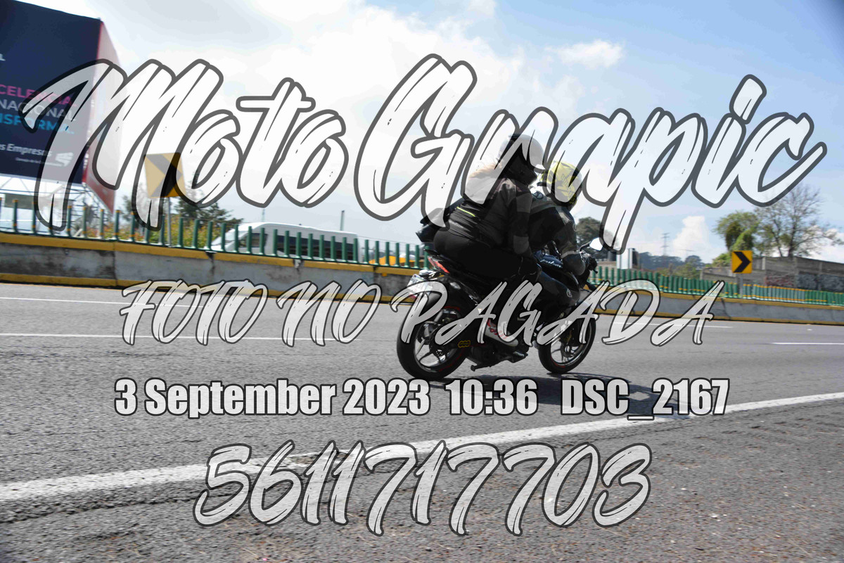 motgr DSC 2167 — Postimages