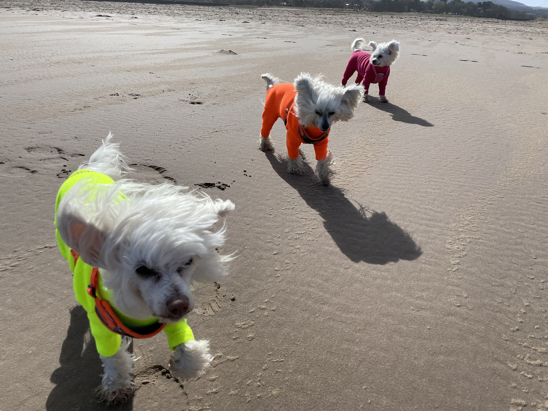 CC1 B814 C 38 FB 4 F35 B1 E3 232 FD913 BDAE — Postimages