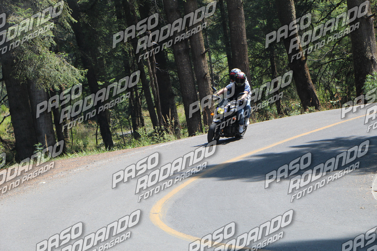 My Gallery — Postimages