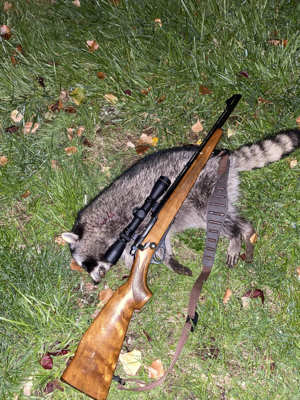 IMG 8704 — Postimages