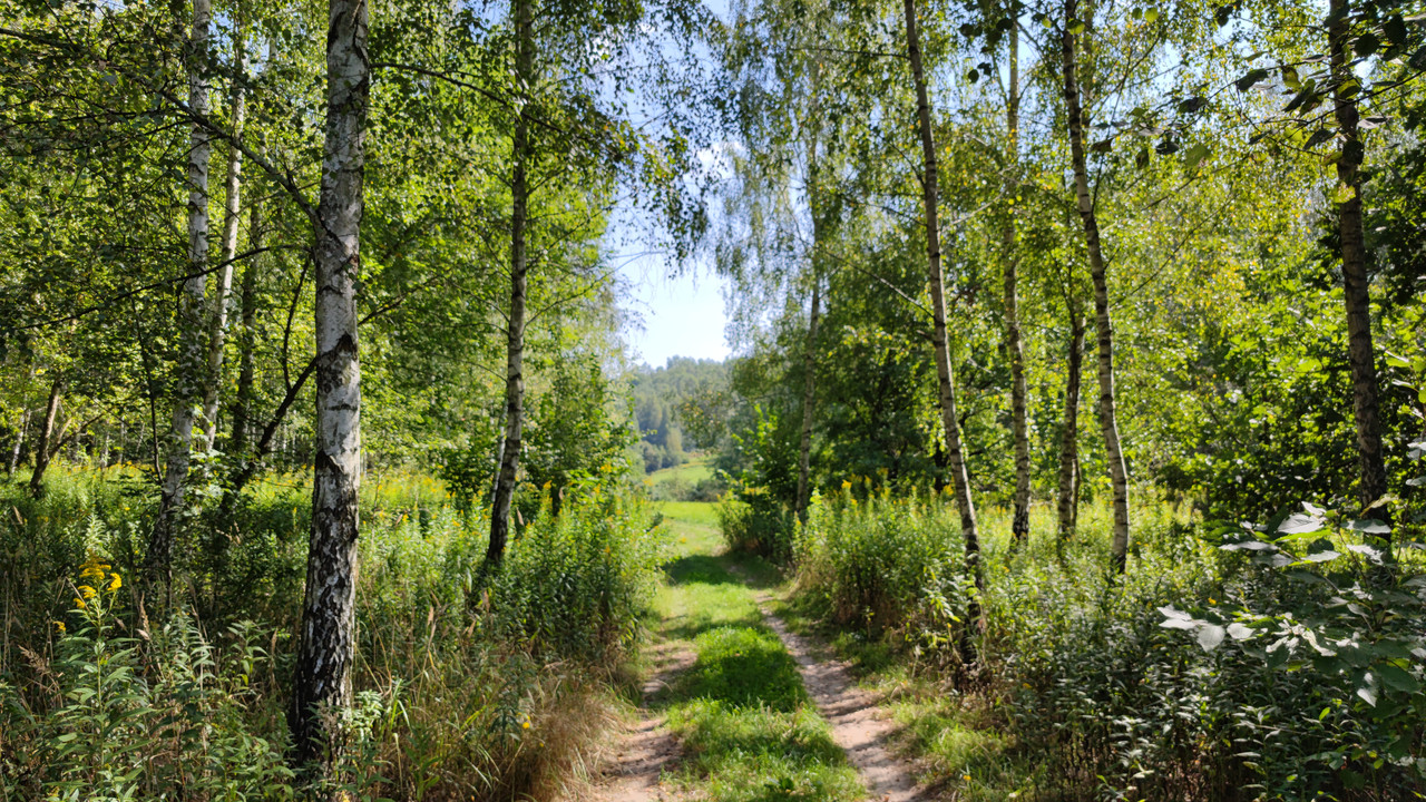 IMG 20220826 110944 — Postimages