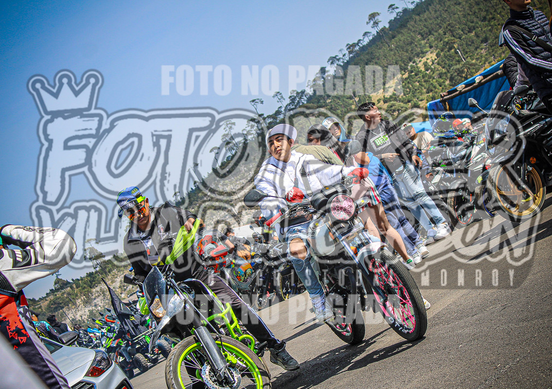 pal1 2016 — Postimages