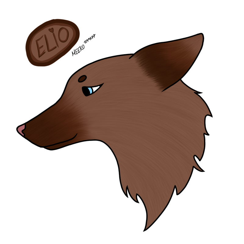 Wolf Play : ych headshots!