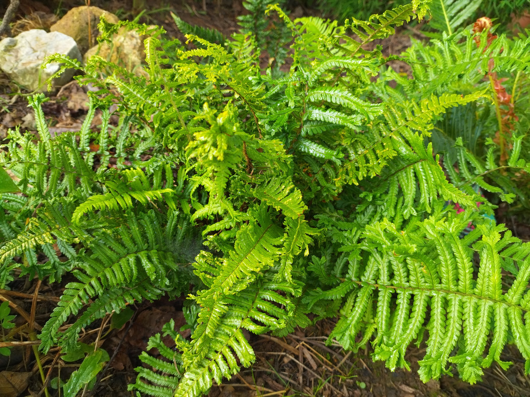 IMG 20230816 085533603 — Postimages