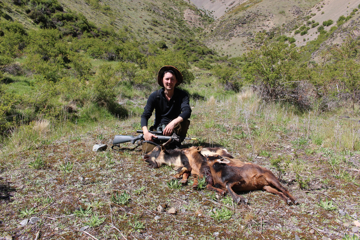 IMG 8745 — Postimages