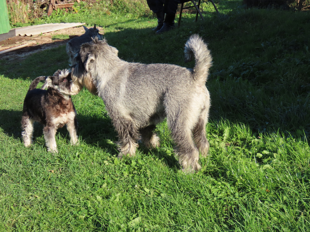 IMG 8966 — Postimages