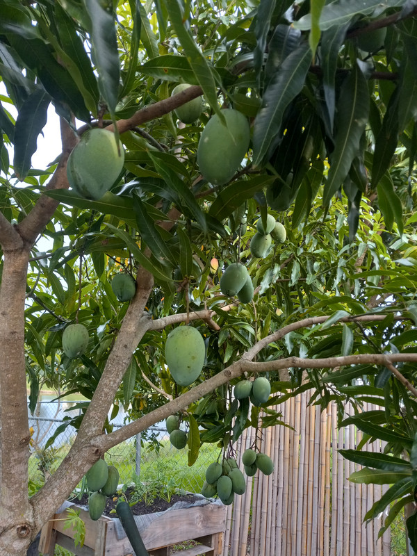 20230717 185239 — Postimages