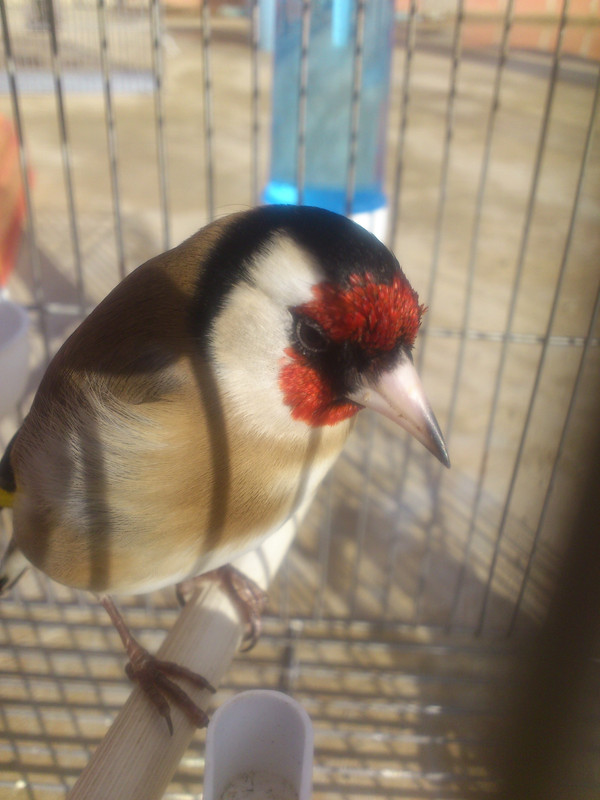 DSC 0381 — Postimages