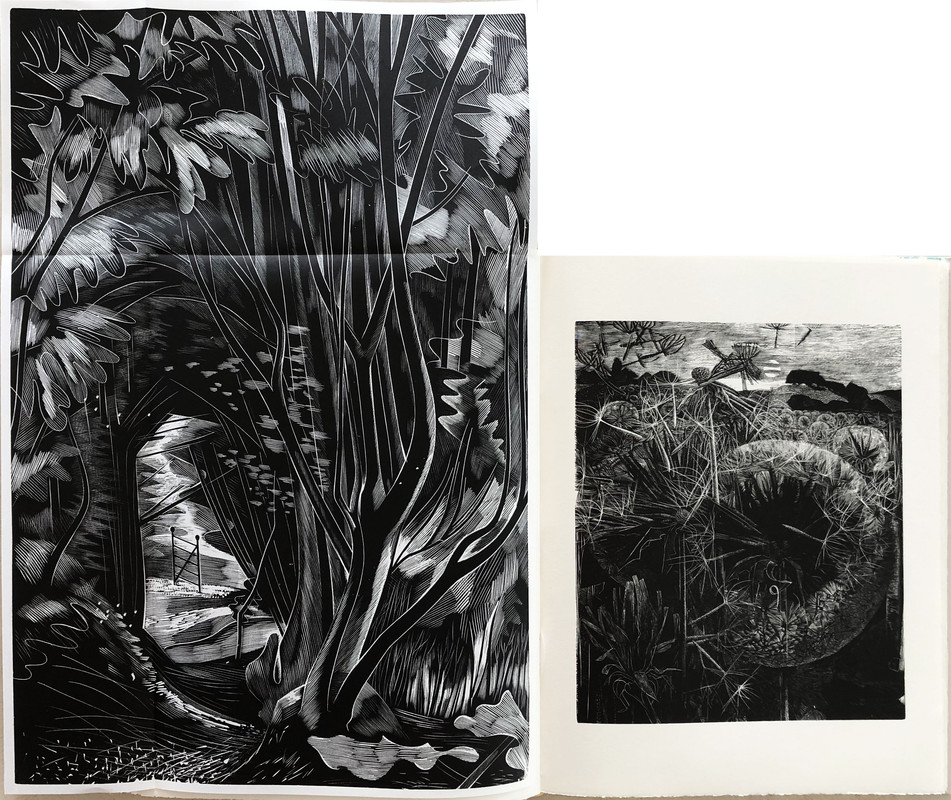 2020 Vision compiled by Nigel Hamway – NOMAD LETTERPRESS | Fine Press ...