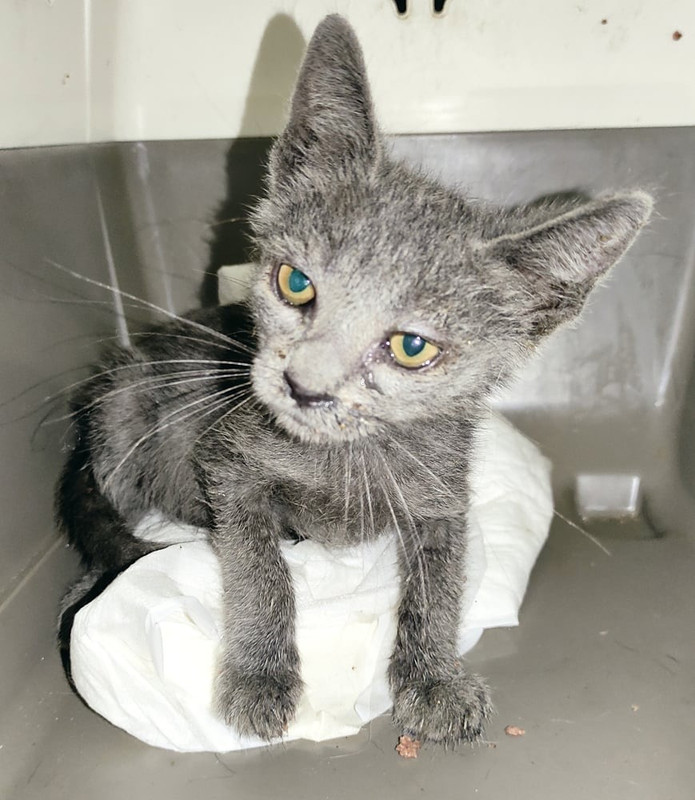 IMG 1597 — Postimages