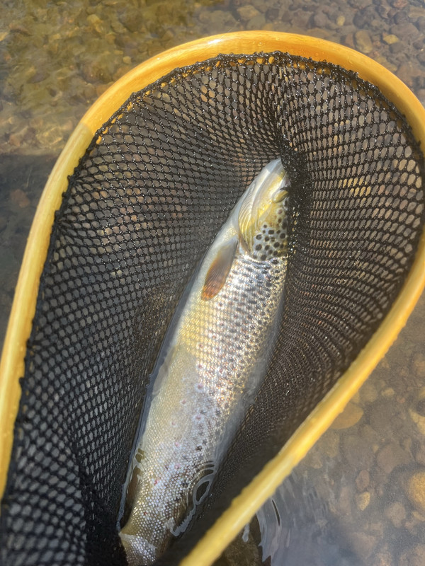 0 FD94 B03 4593 48 AF 8 AF6 8 A3 C4 E1 E0 AC3 — Postimages