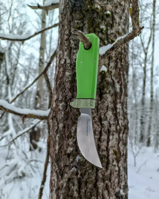 IMG 20231217 204733 723 — Postimages