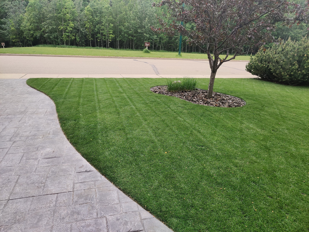 NateDawg24 2021 Spring KBG Reno | Lawn Care Forum