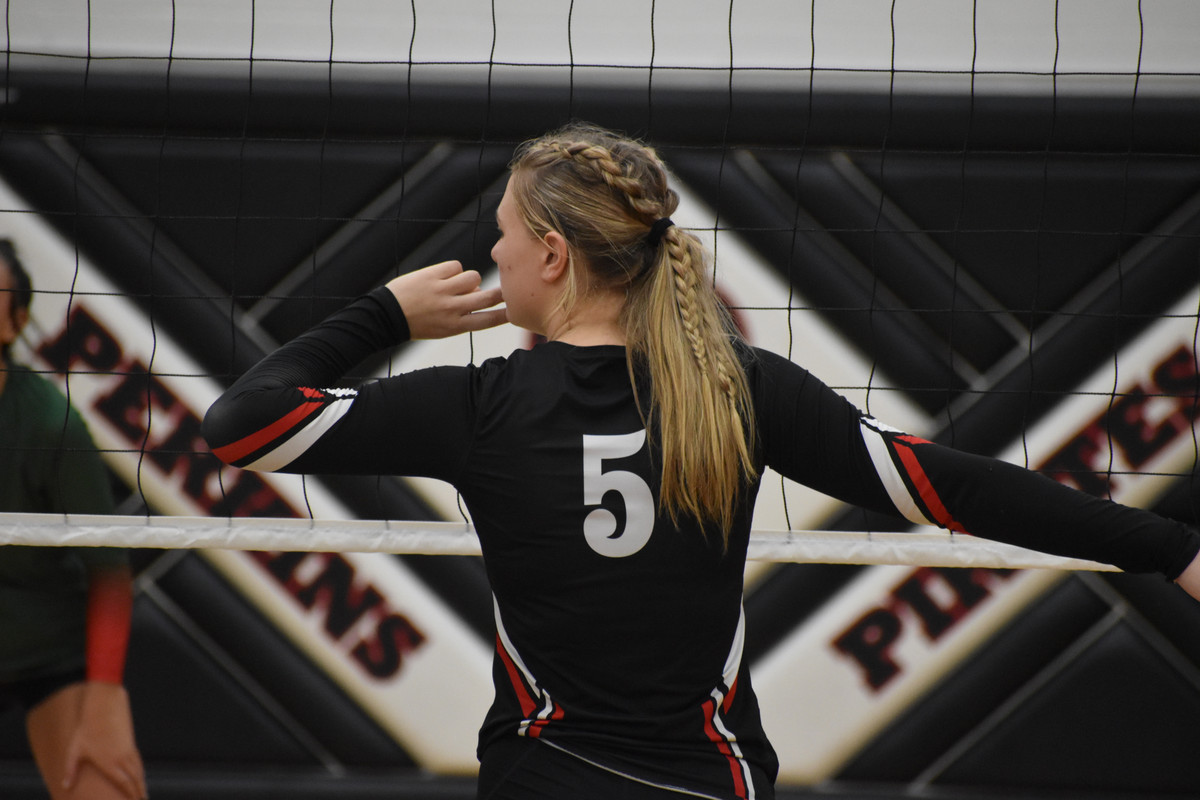 DSC 0229 — Postimages