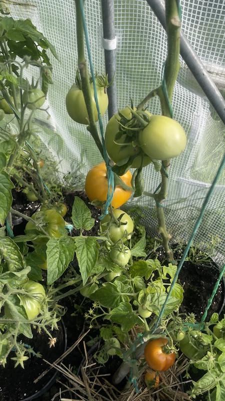 IMG 0277 — Postimages