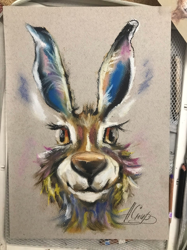 CGETGc 8 Gy M — Postimages