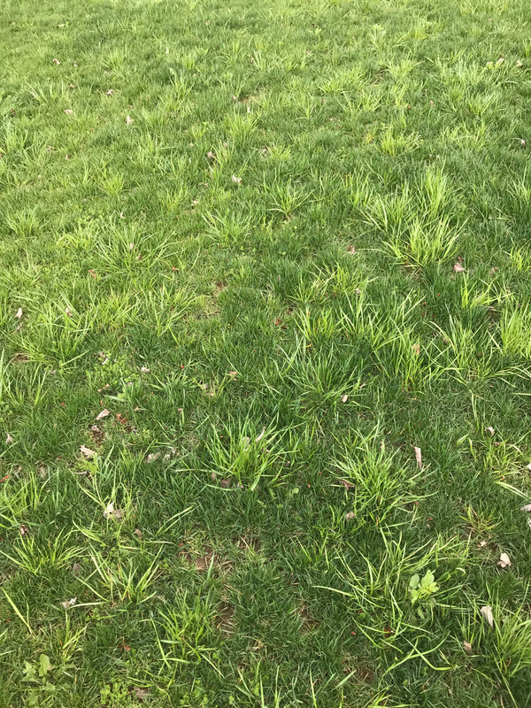 IMG 5044 — Postimages