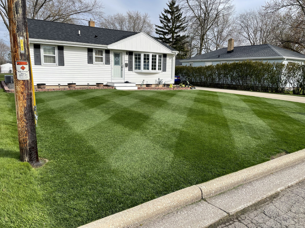 IMG 4646 — Postimages