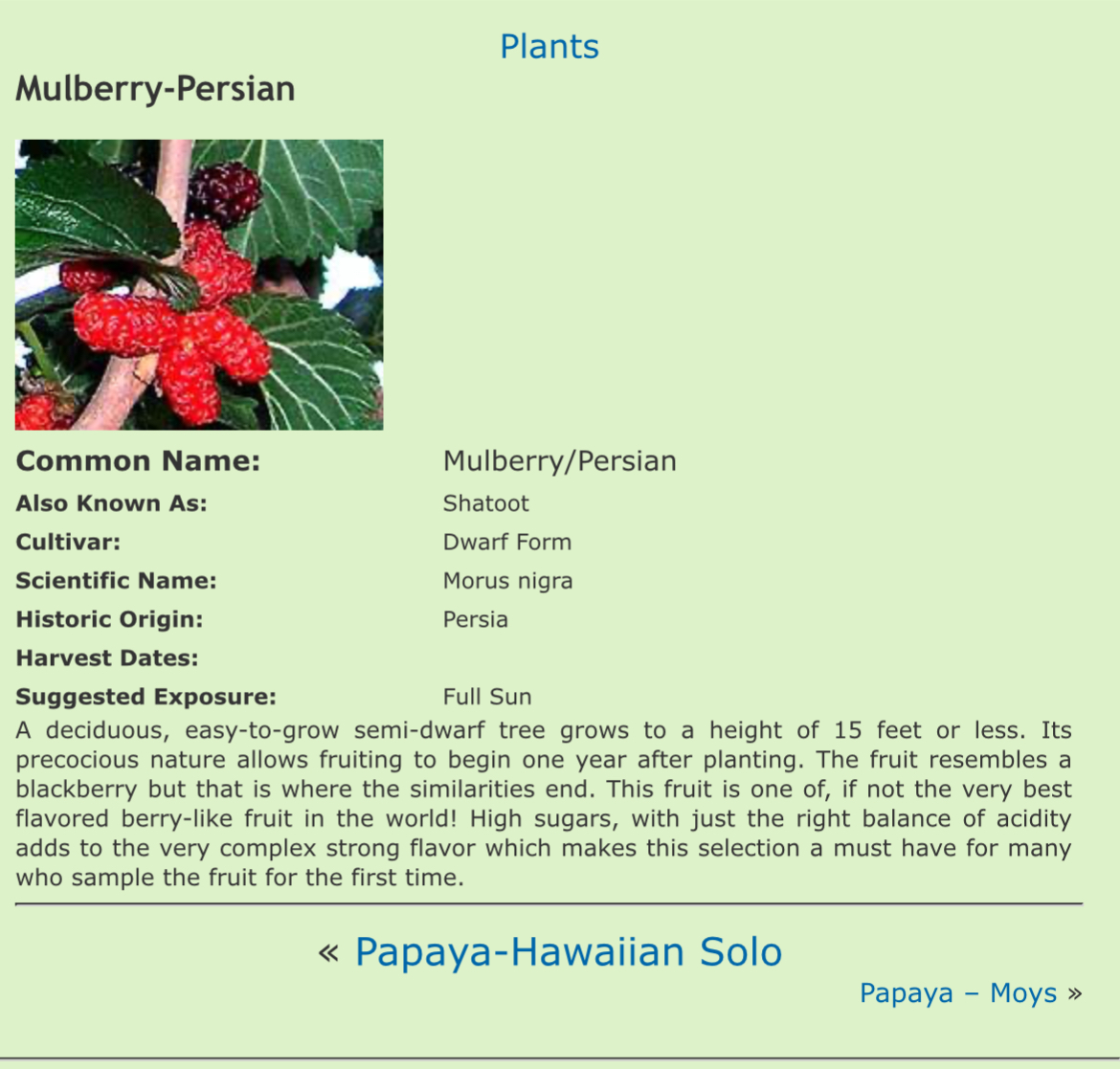 IMG 5965 — Postimages