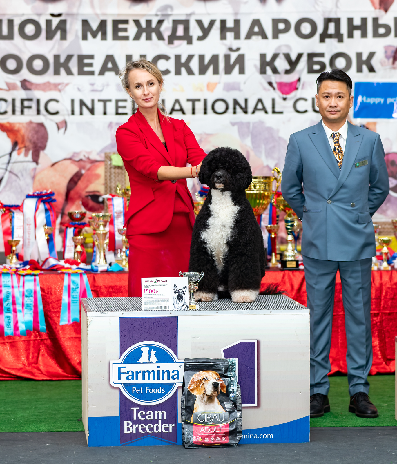 30 1465 — Postimages