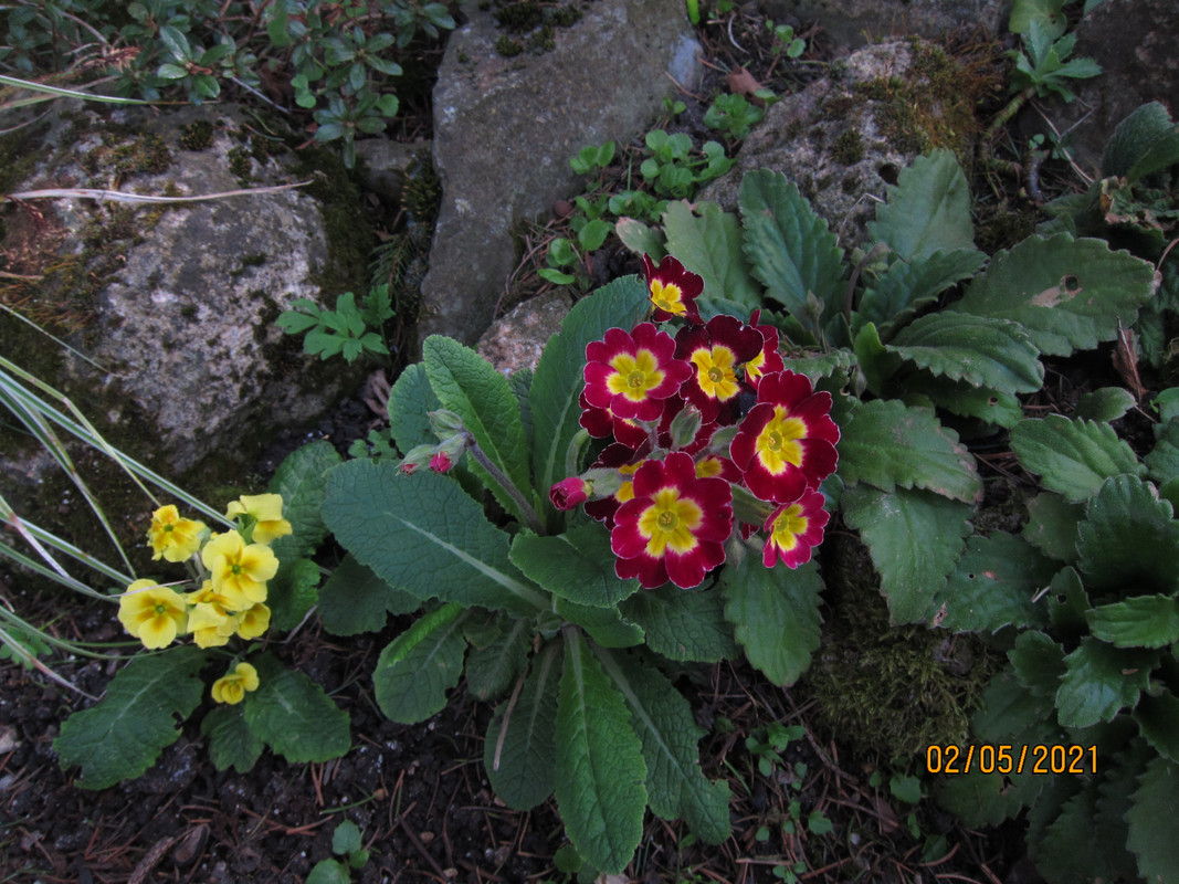 IMG 3014 — Postimages