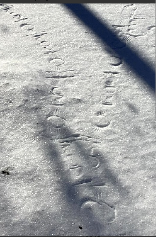 Screenshot 20240312 135151 — Postimages