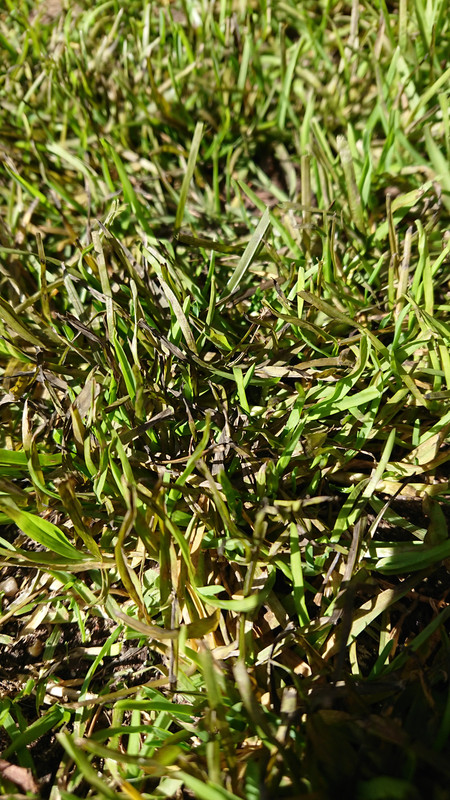 DSC 0843 — Postimages