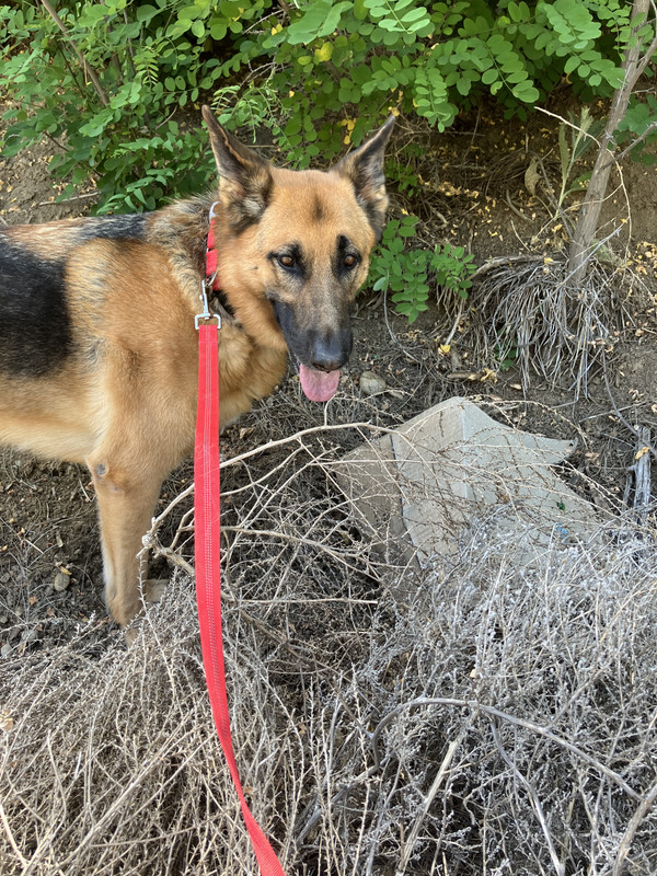 D2 B91 F5 F 299 B 4 FAB A2 B6 A25 AE2 DFE80 B — Postimages