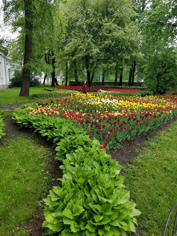 IMG 20230523 055023 864 — Postimages