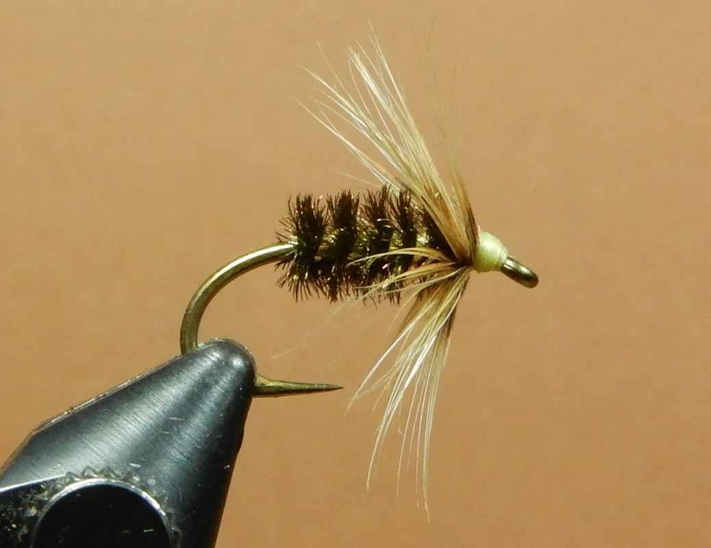 Gray Hackles - Fly Tying - Maine Fly Fish