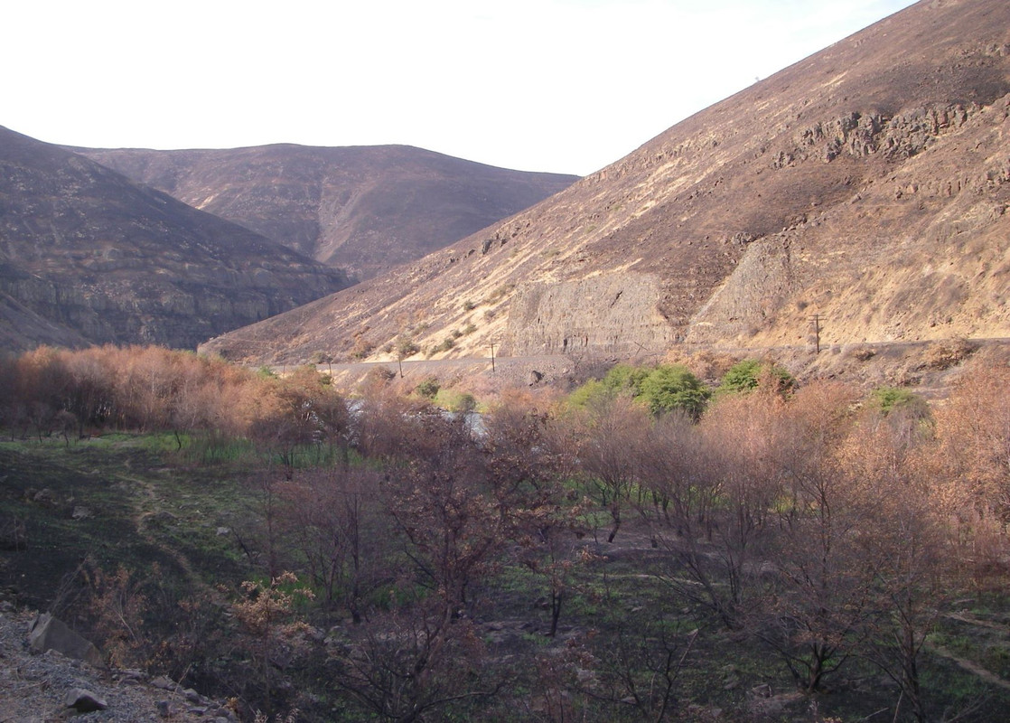 Soft boo 2019 Fire 2018 — Postimages