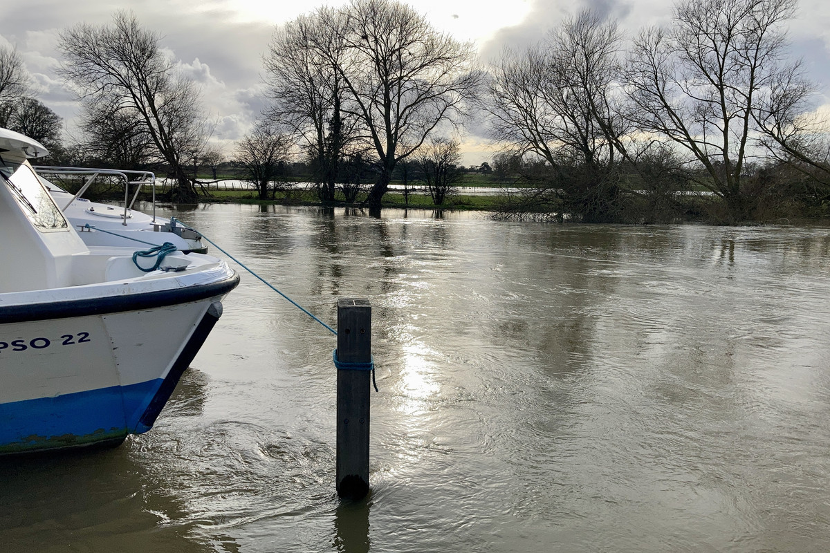 IMG 1196 — Postimages