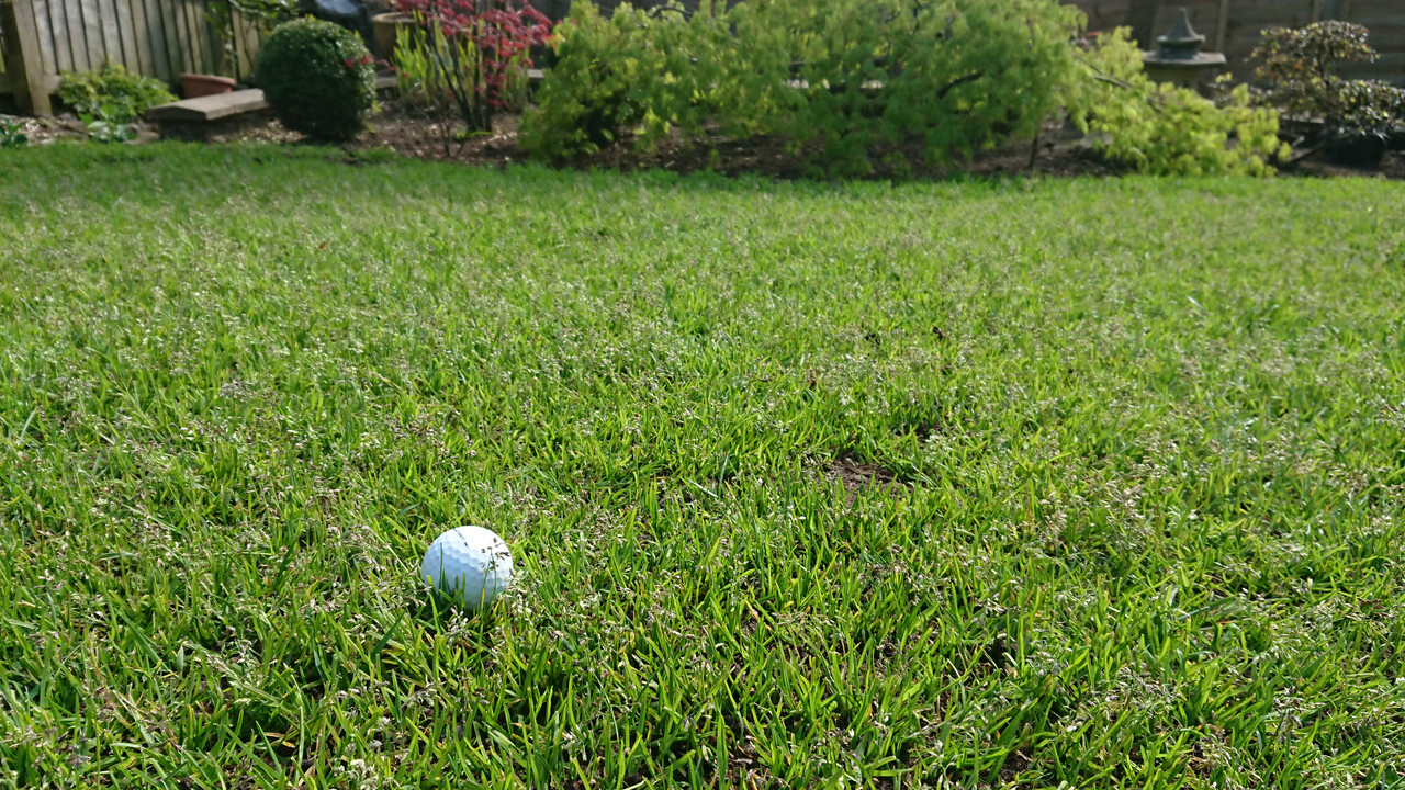 DSC 0643 — Postimages