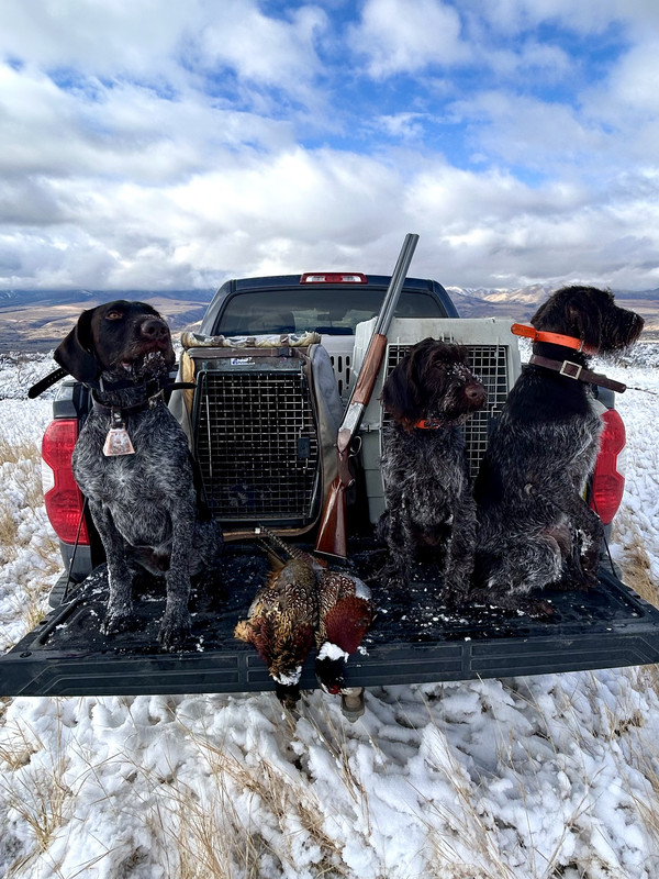 IMG 2358 — Postimages