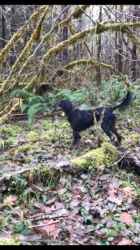 IMG 2193 (5) — Postimages