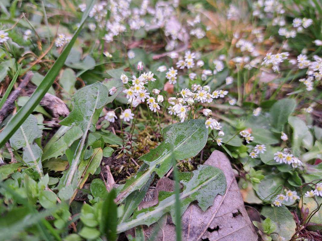 20240311 122126 — Postimages