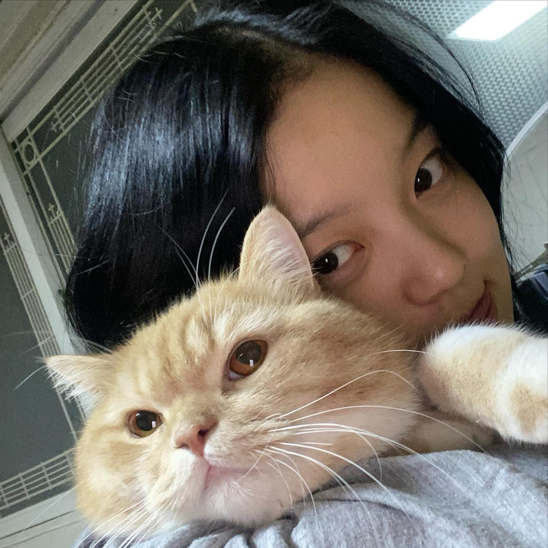 312188263 183206120905814 8360453178917939021 n — Postimages