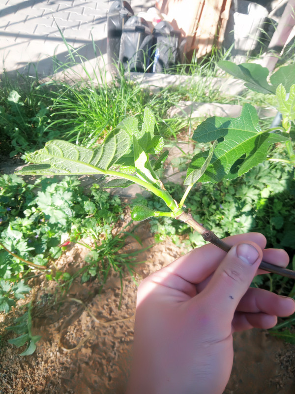 IMG 20230604 074041 710 — Postimages