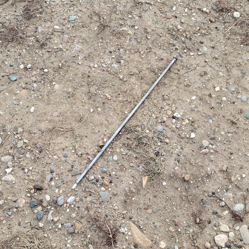 Hey...you wanna see something? - 24hourcampfire