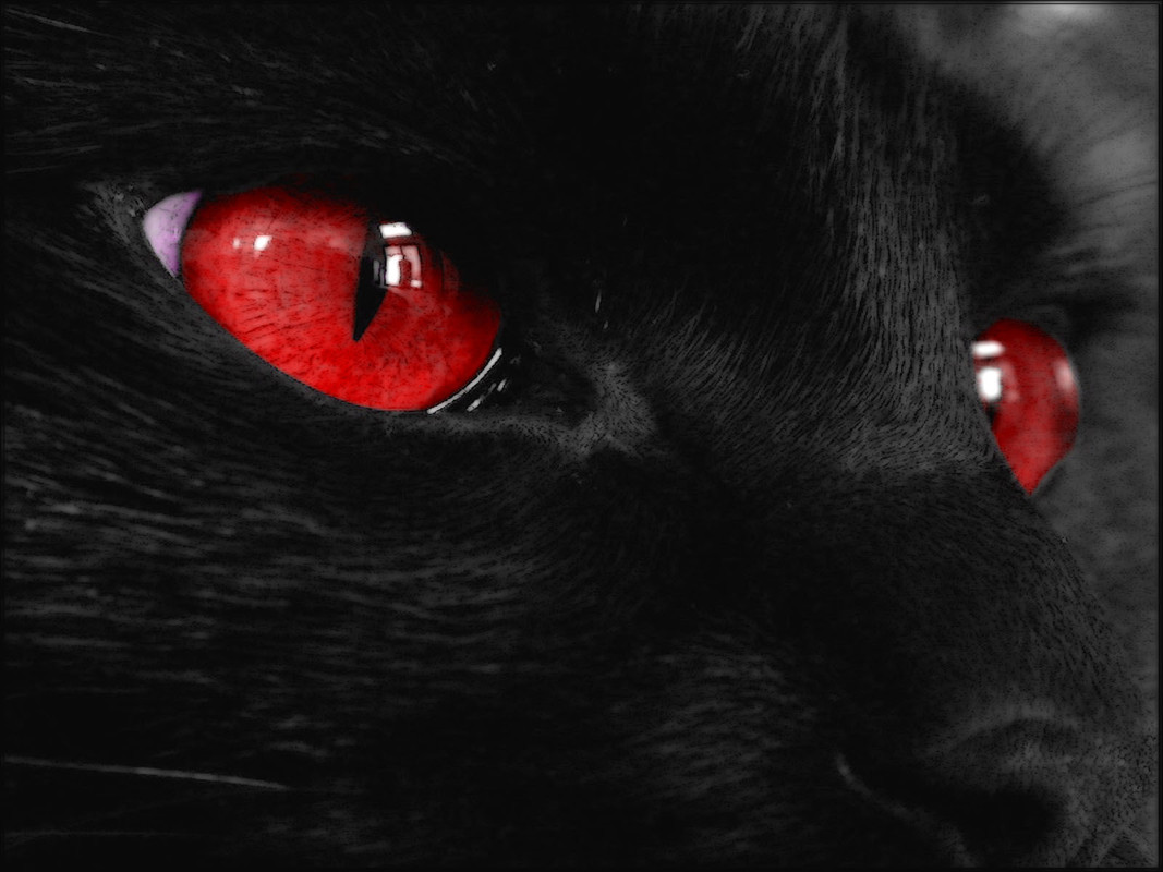 Backgrounds Red eyes on black wallpaper 078519 — Postimages