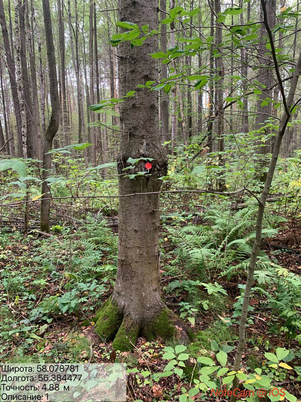 IMG 1587 — Postimages