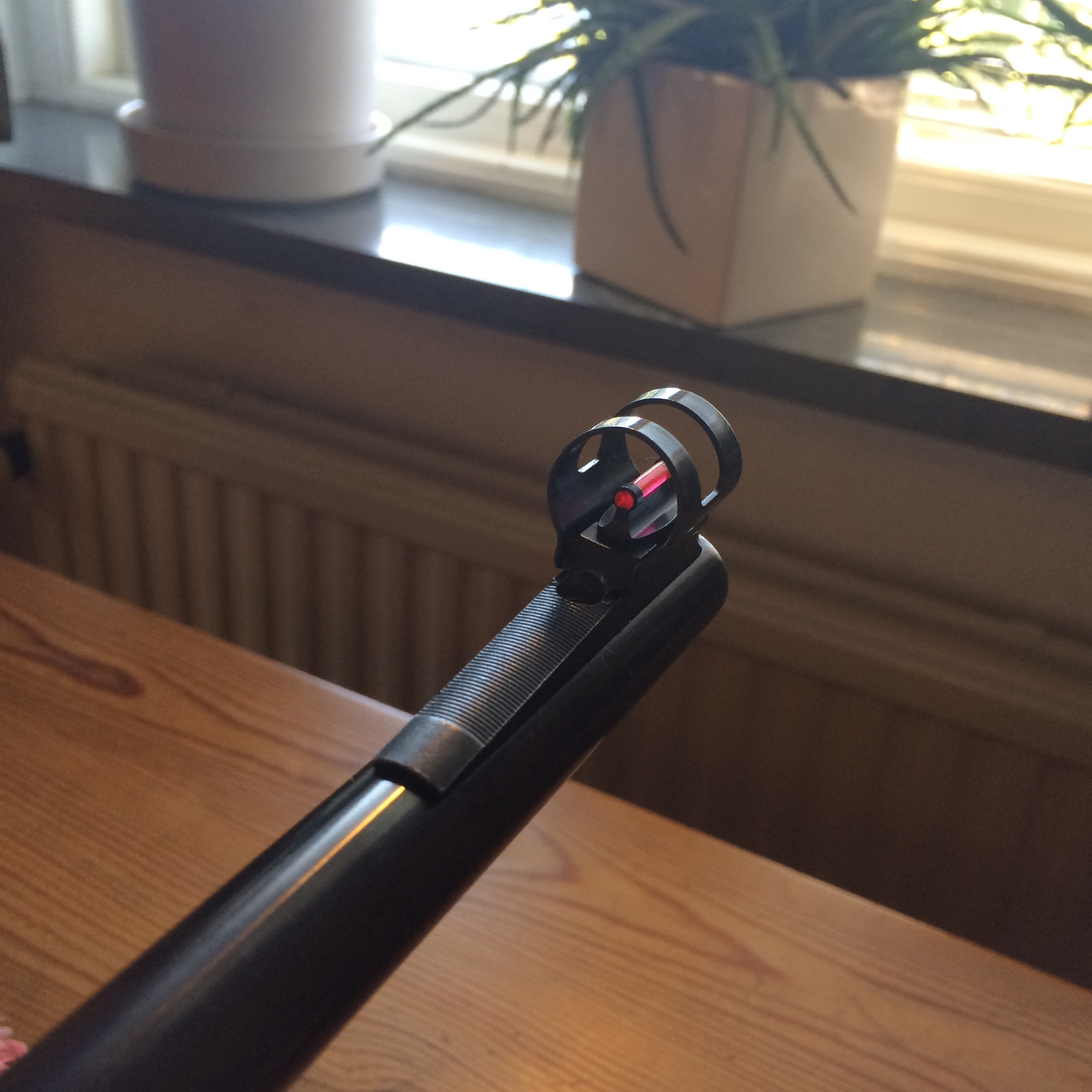 IMG 2997 — Postimages