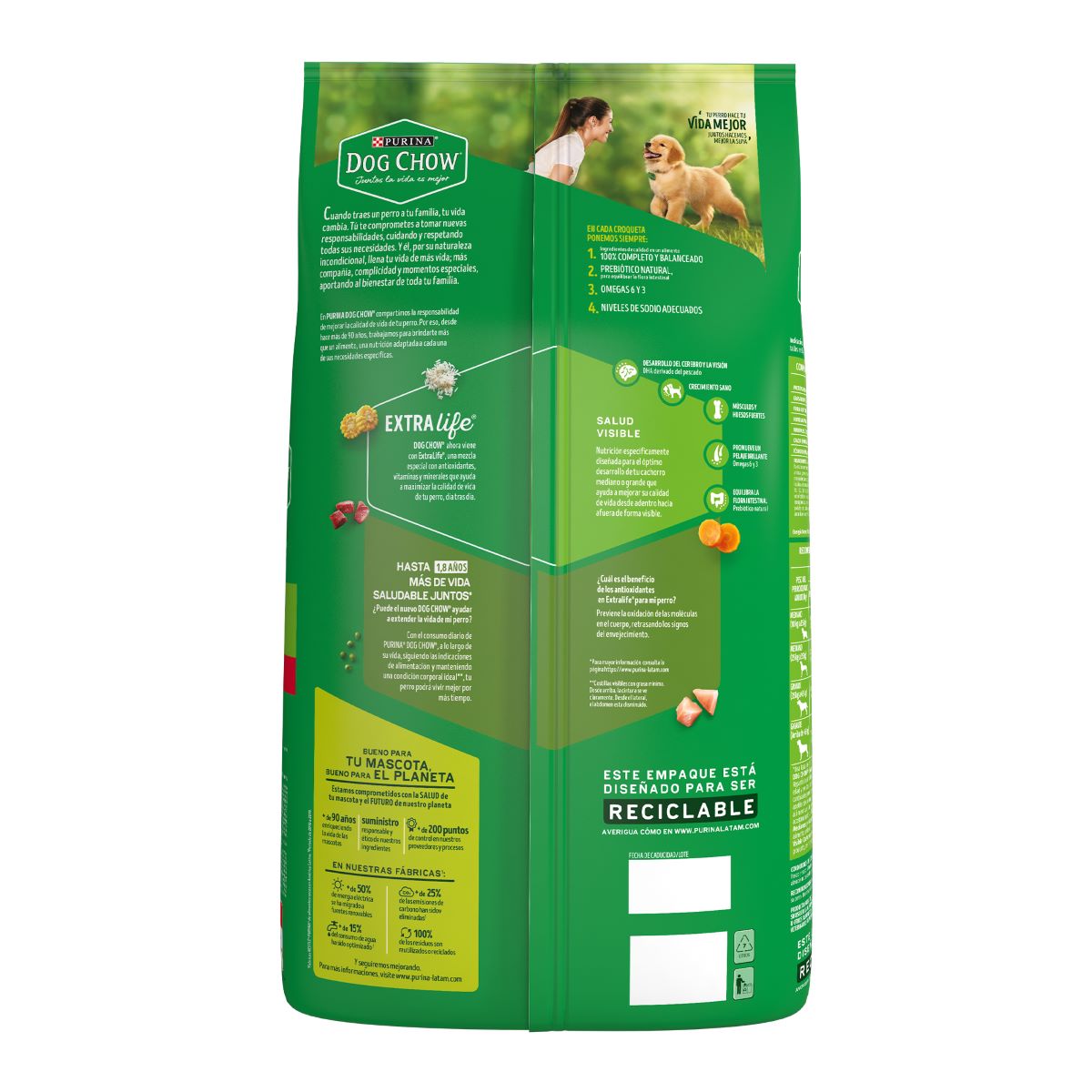 MX DG CACHORROS MG ECONTENT 0422 BACK — Postimages