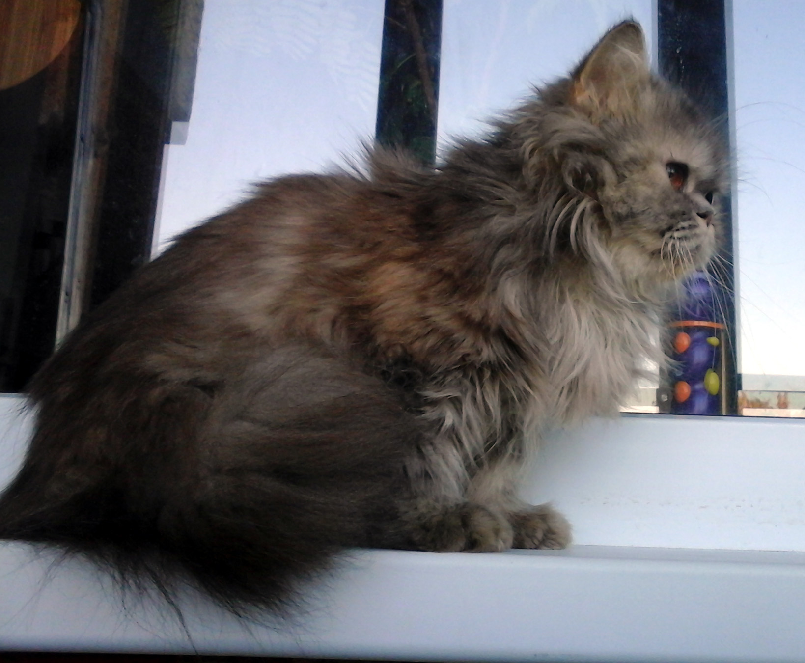 Untitled 1 2copy — Postimages